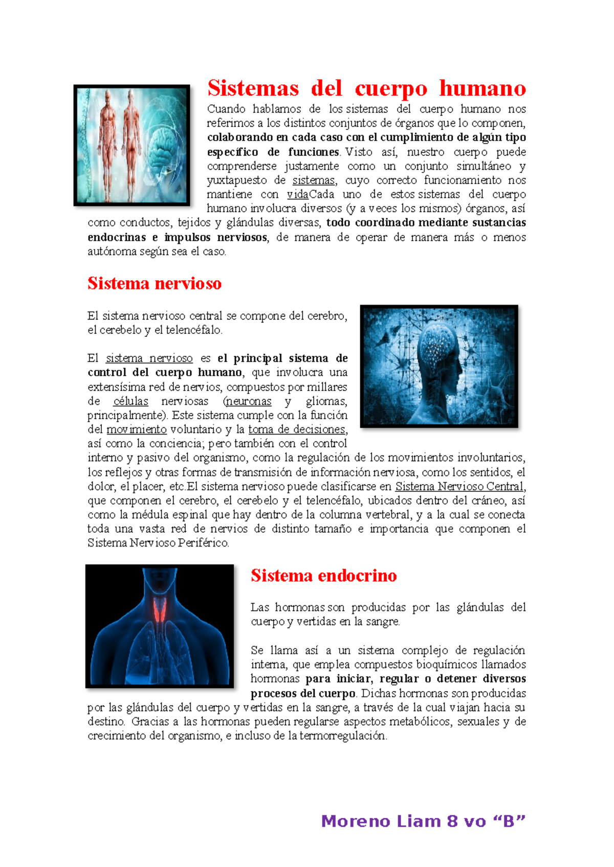 Sistemas del cuerpo humano - Visto así, nuestro cuerpo puede ...