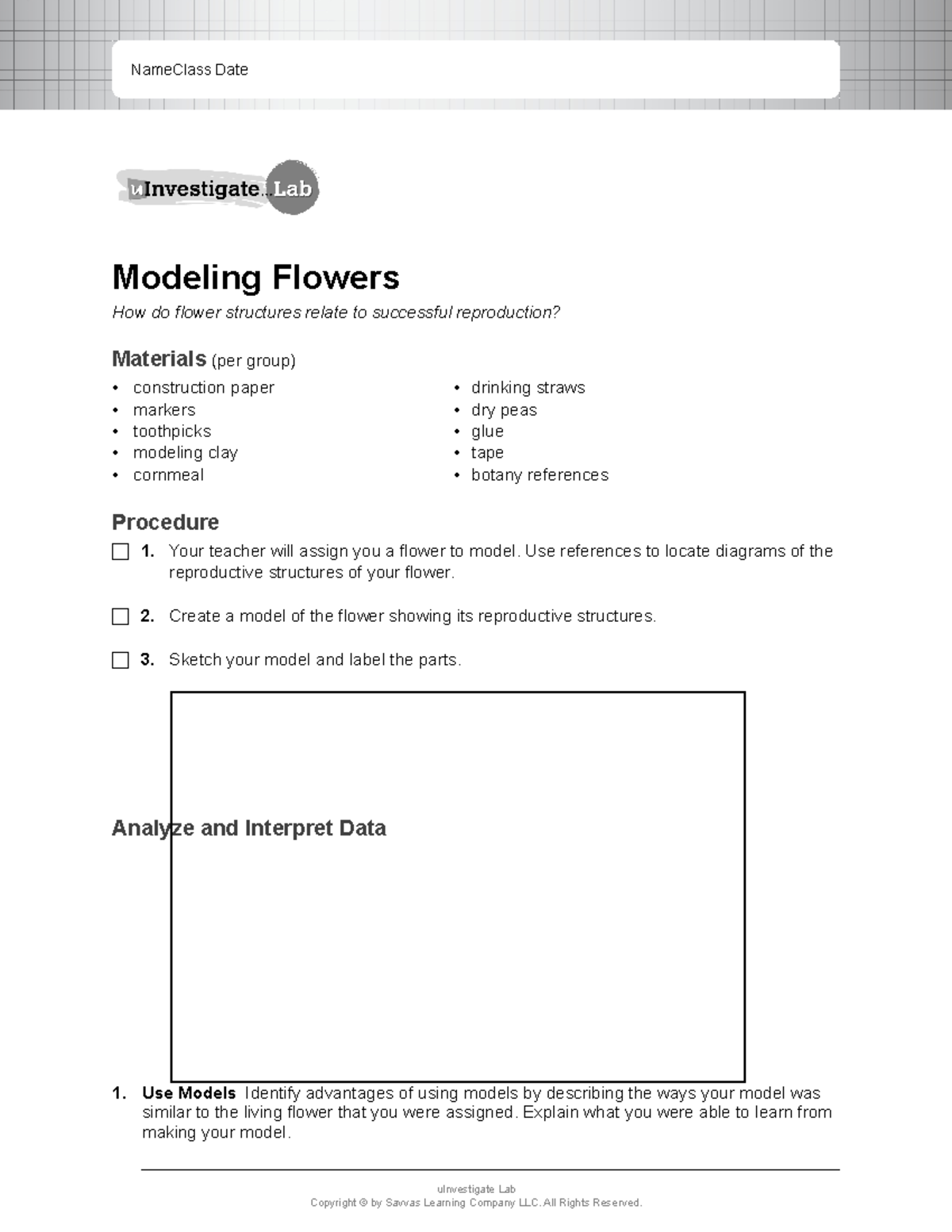 MGLS RG u Investigate Lab Modeling Flowers - Modeling Flowers How do ...