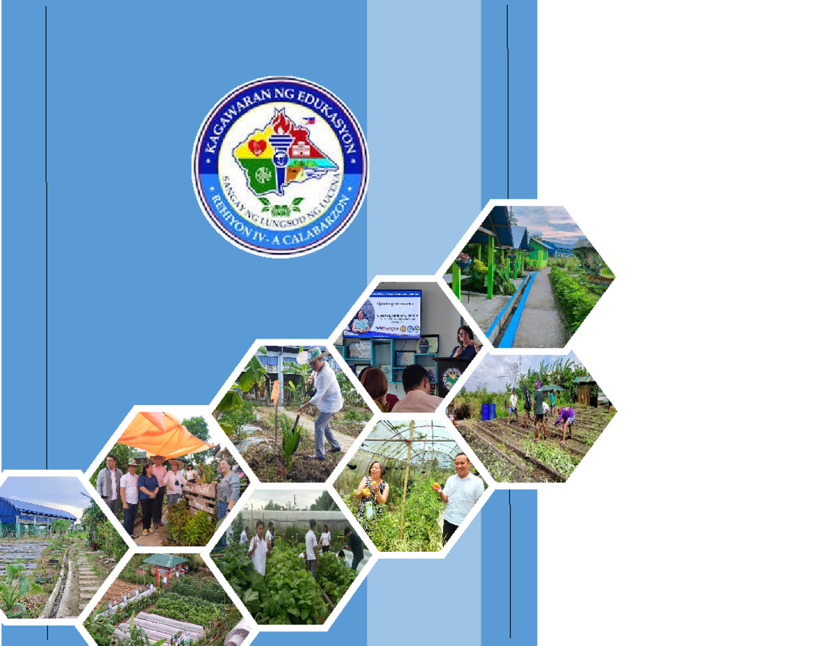 Front - PROGRAM 2 - Bachelor of Science in Information Technology - Studocu