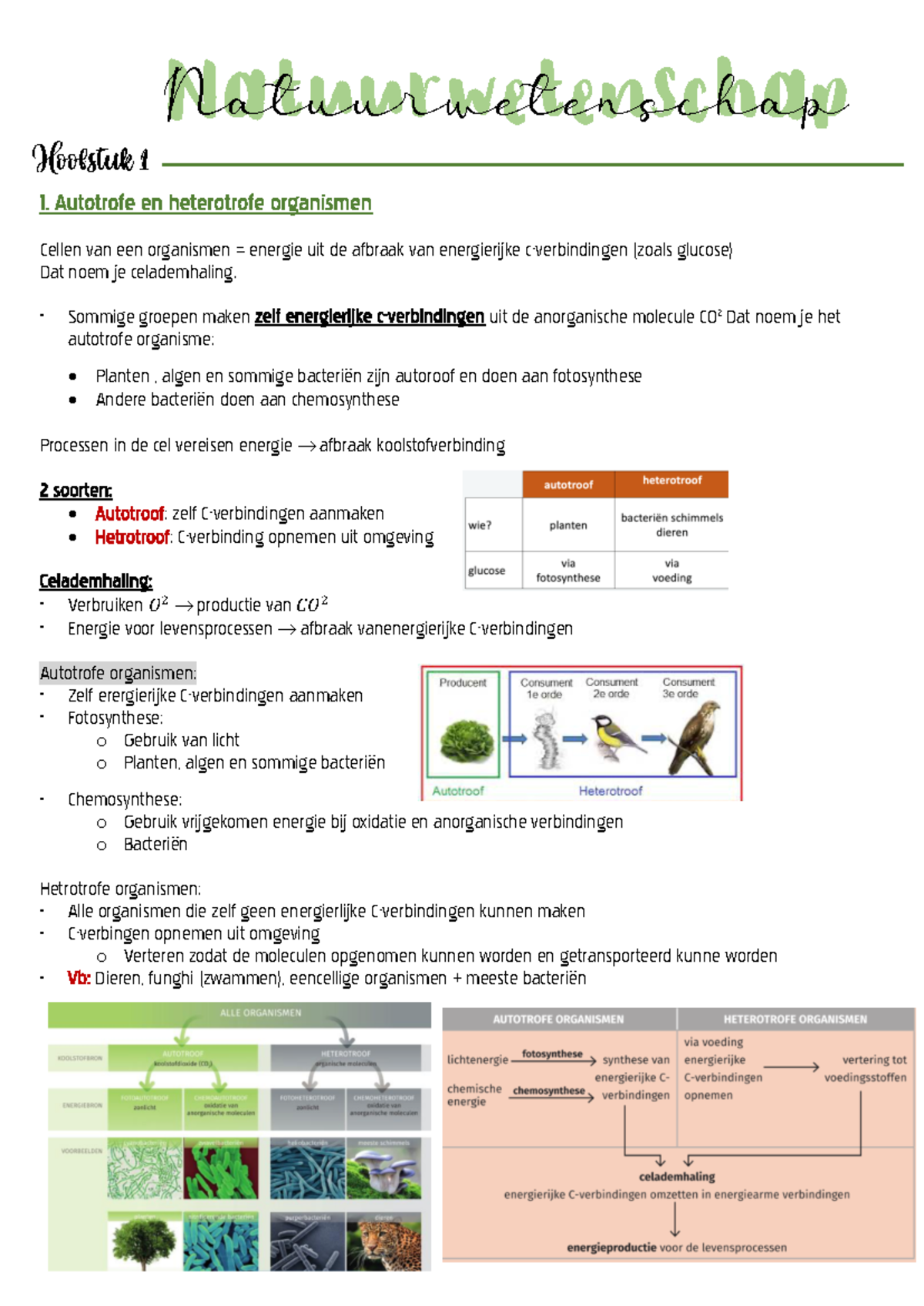 Module 3 hfdst 1,2,3 - Samenvatting natuurwetenschappen ...