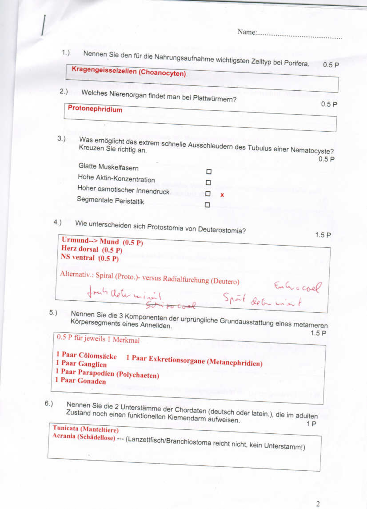 Klausur WS2012/2013, Aufgaben und Lösungen - Struktur und Funktion der Organismen - Studocu