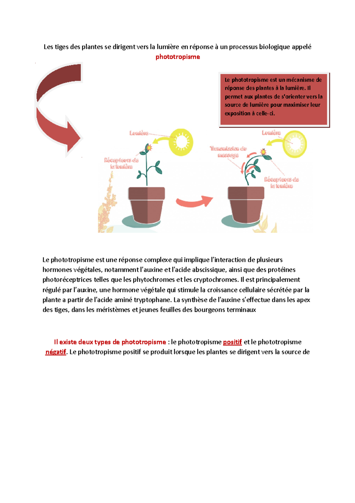 Les tiges des plantes se dirigent vers la lumière en réponse à un ...