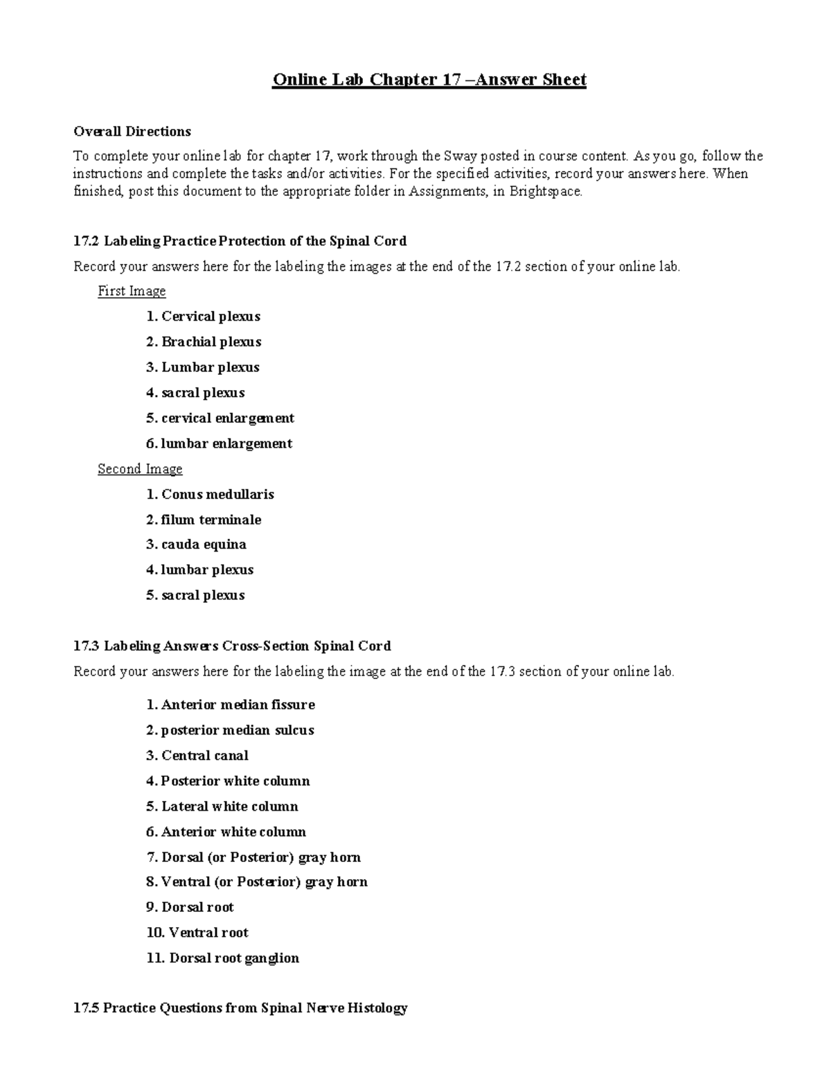 Chapter 17 Online Lab - Online Lab Chapter 17 3Answer Sheet Overall ...