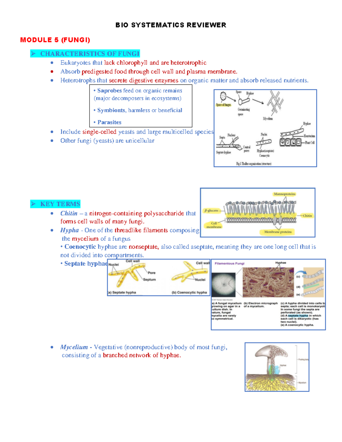 Sytematic Biology Reviewer ( Midterm) - BIO SYSTEMATICS REVIEWER MODULE ...