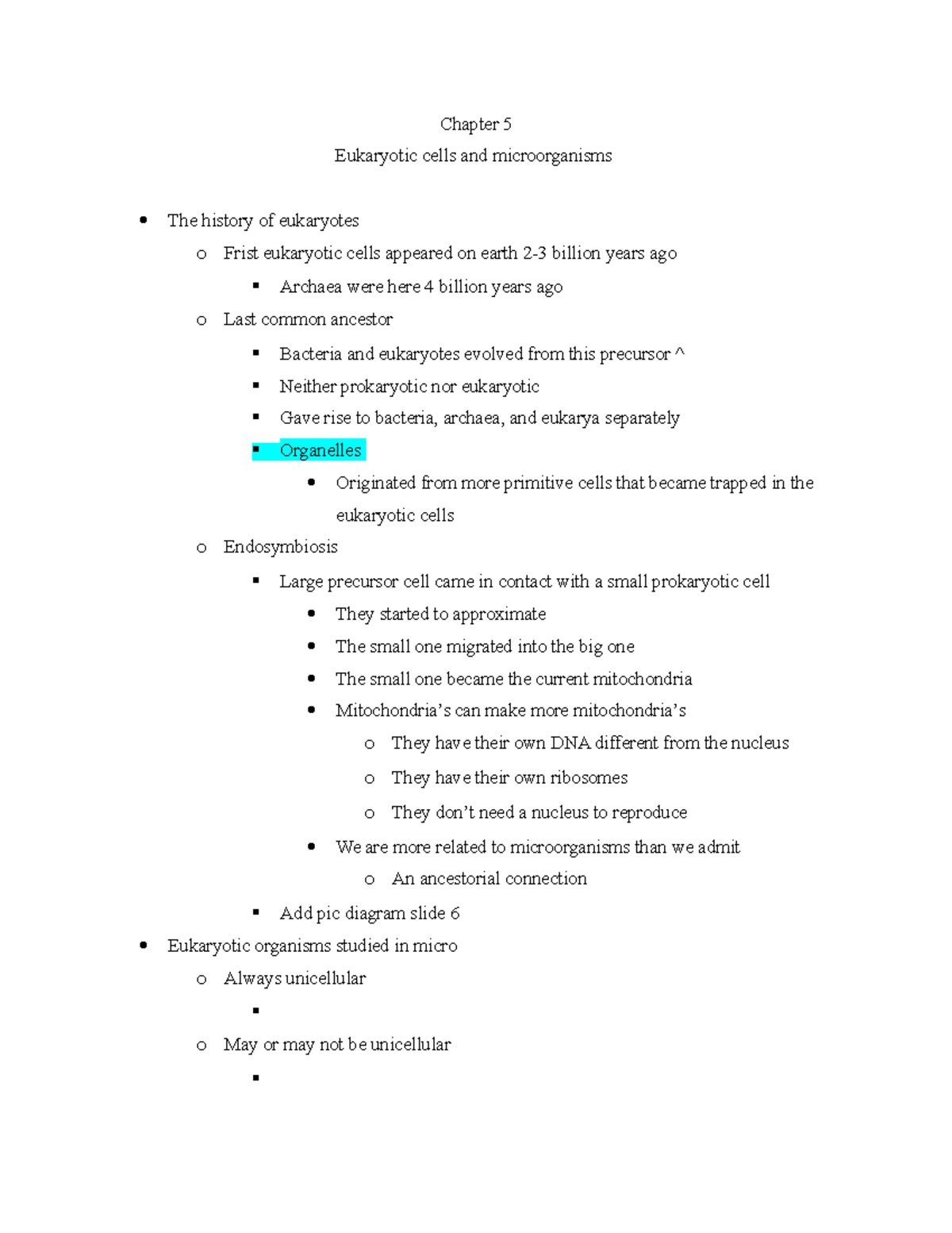 Ch5- Micro- Notes - Chapter 5 Eukaryotic cells and microorganisms The ...