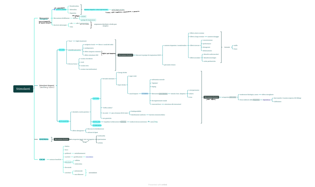 Stimolanti naturali - Stimolanti Monoamine CATECOLAMINE Noradrenalina ...