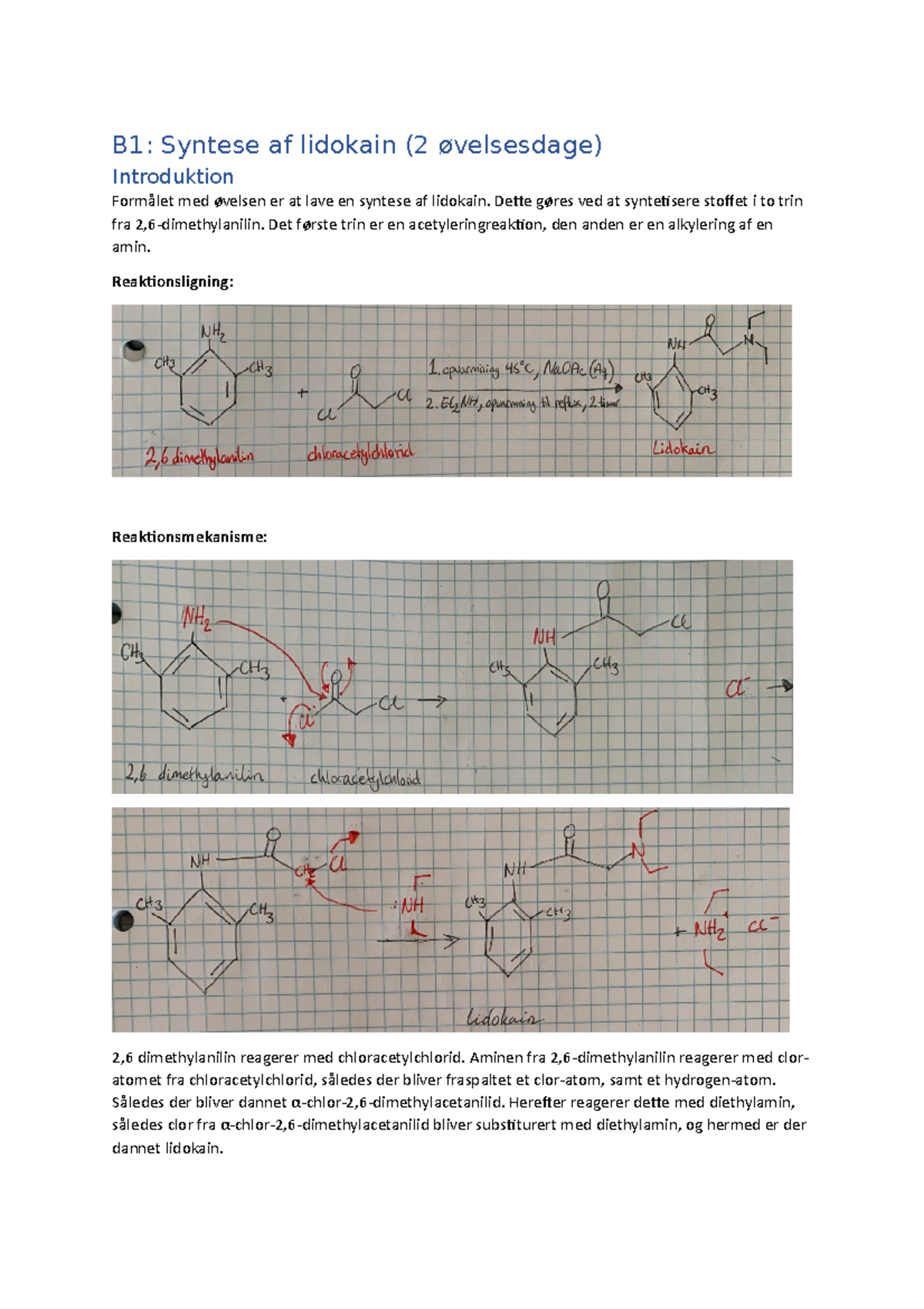 B1 syntese - Anna og Frida - B1: Syntese af lidokain (2 øvelsesdage ...