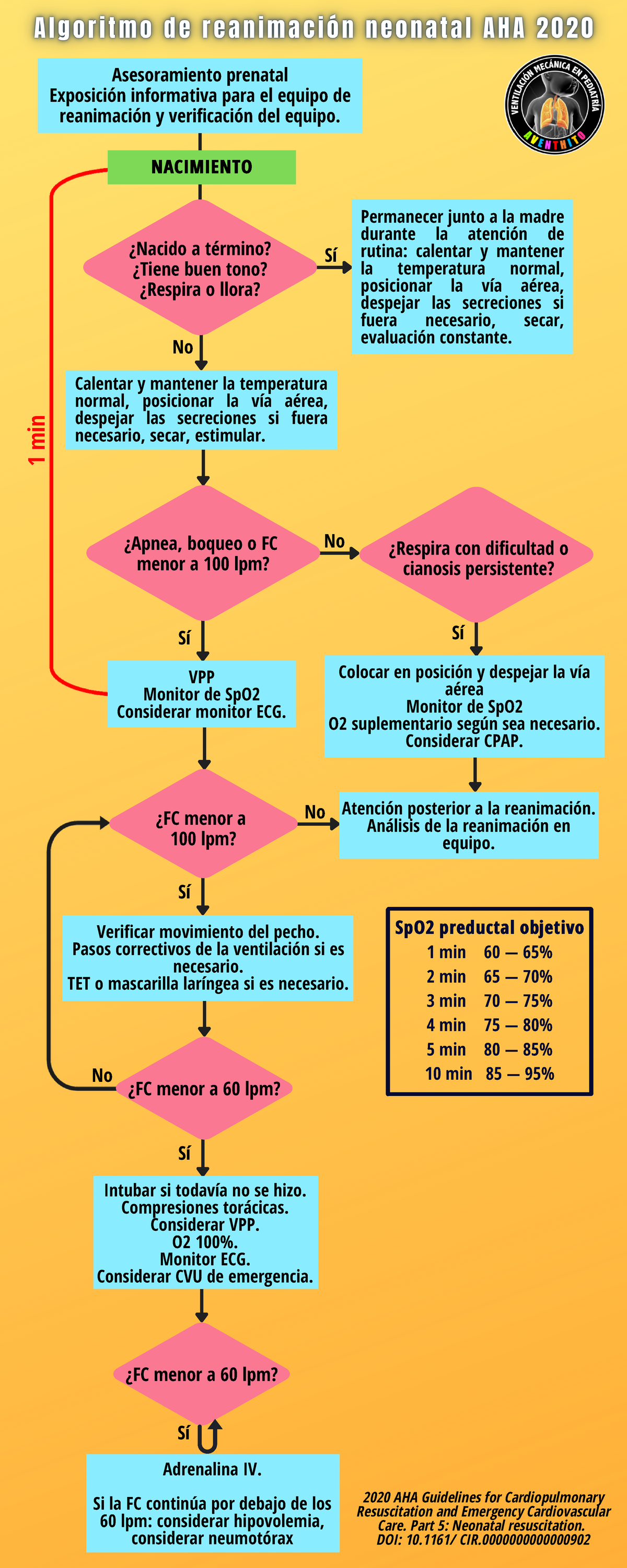 Algoritmo de Reanimacion Neonatal - No Sí No Permanecer junto a la ...