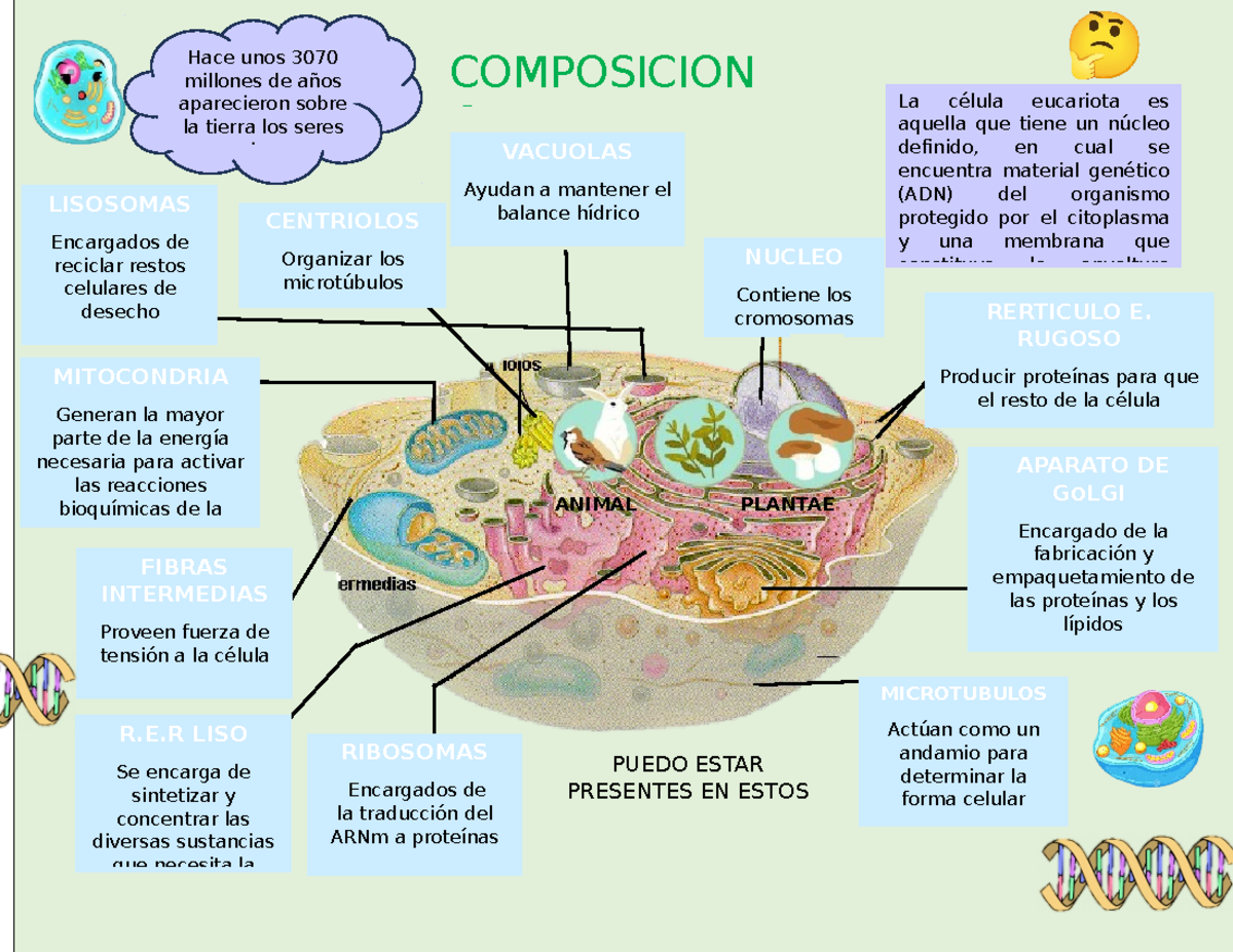 Composicion Celular - Es un mapa mental de apuntes en donde se dan a ...