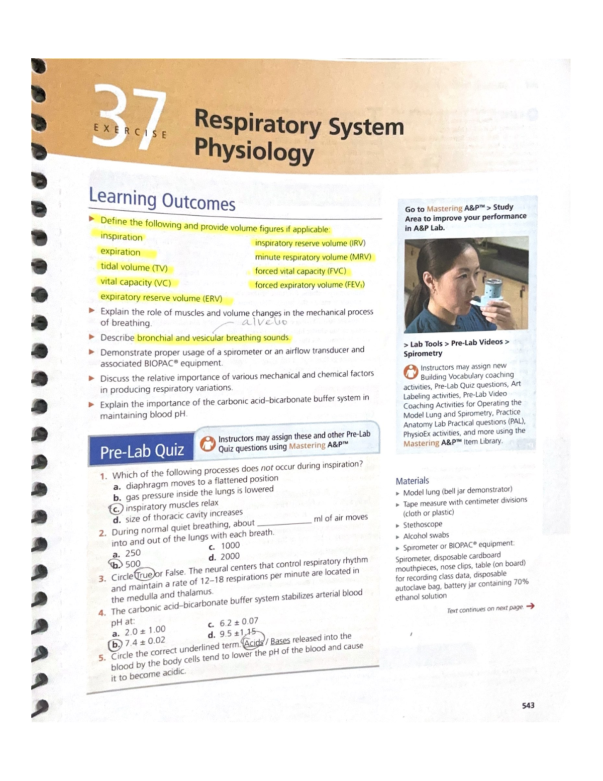 Respiratory System - lab 6 - PHY S 261 - Studocu