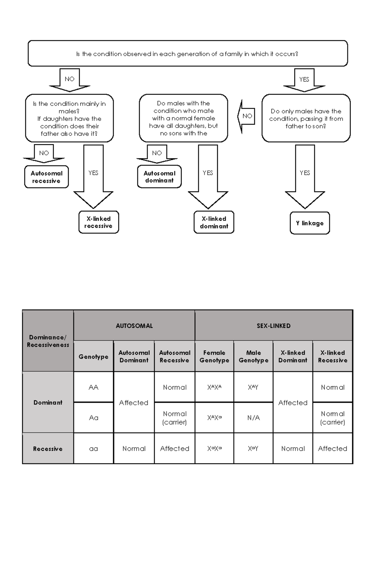 Pedigree Analysis Guide - Dominance/ Recessiveness AUTOSOMAL SEX-LINKED Genotype Autosomal ...