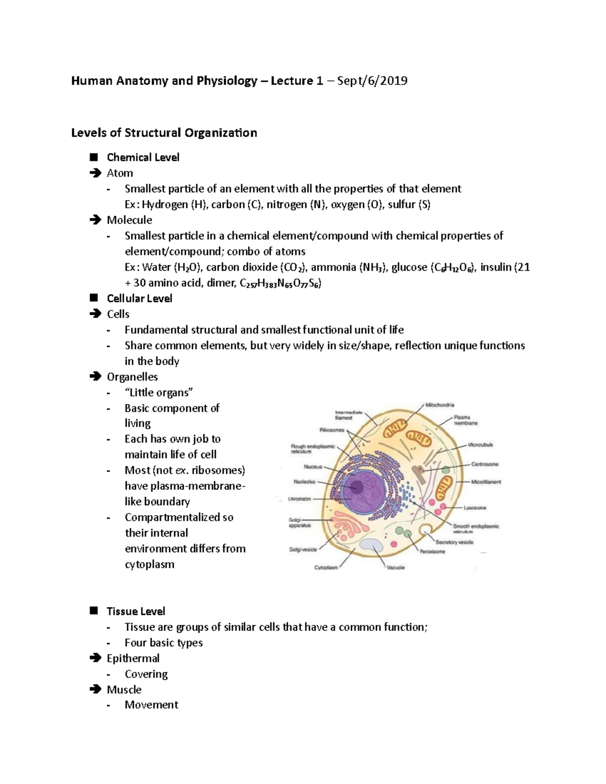 Human Anatomy and Physiology – Lecture 1 - Human Anatomy and Physiology ...