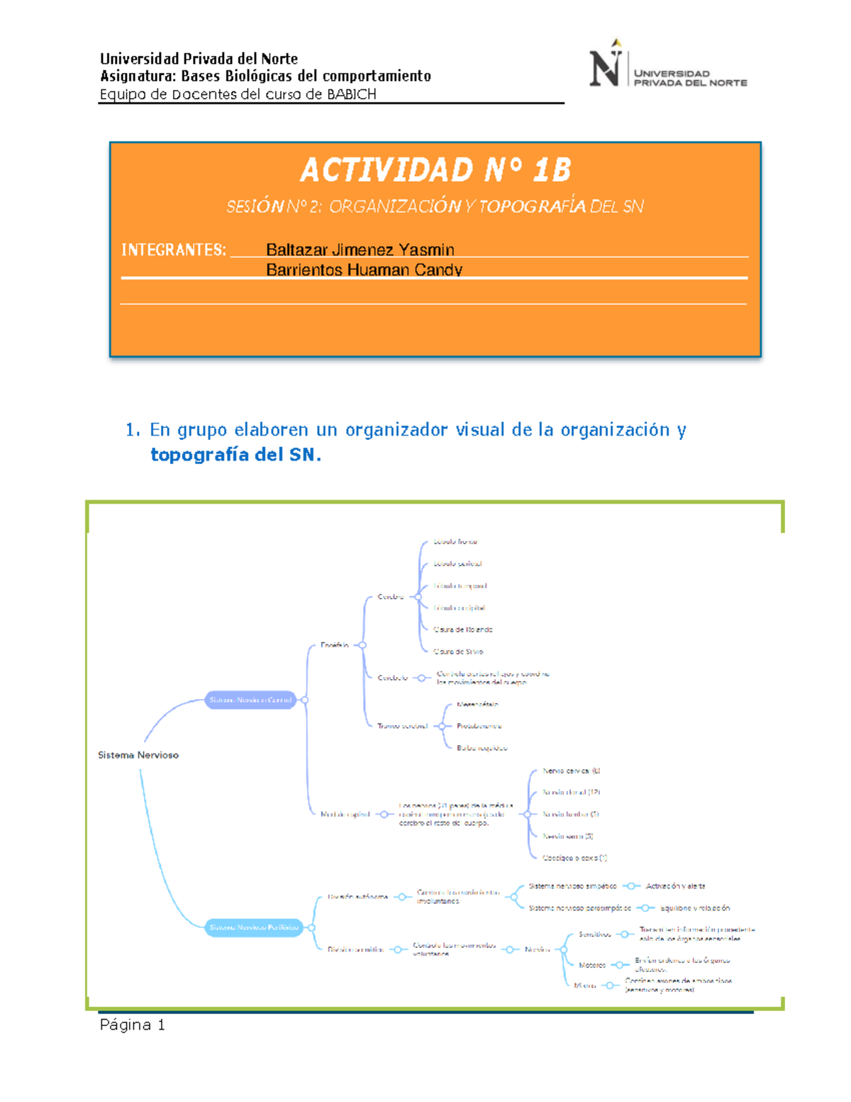 Actividad N 2 Semana 1B - ....... - Universidad Privada del Norte ...