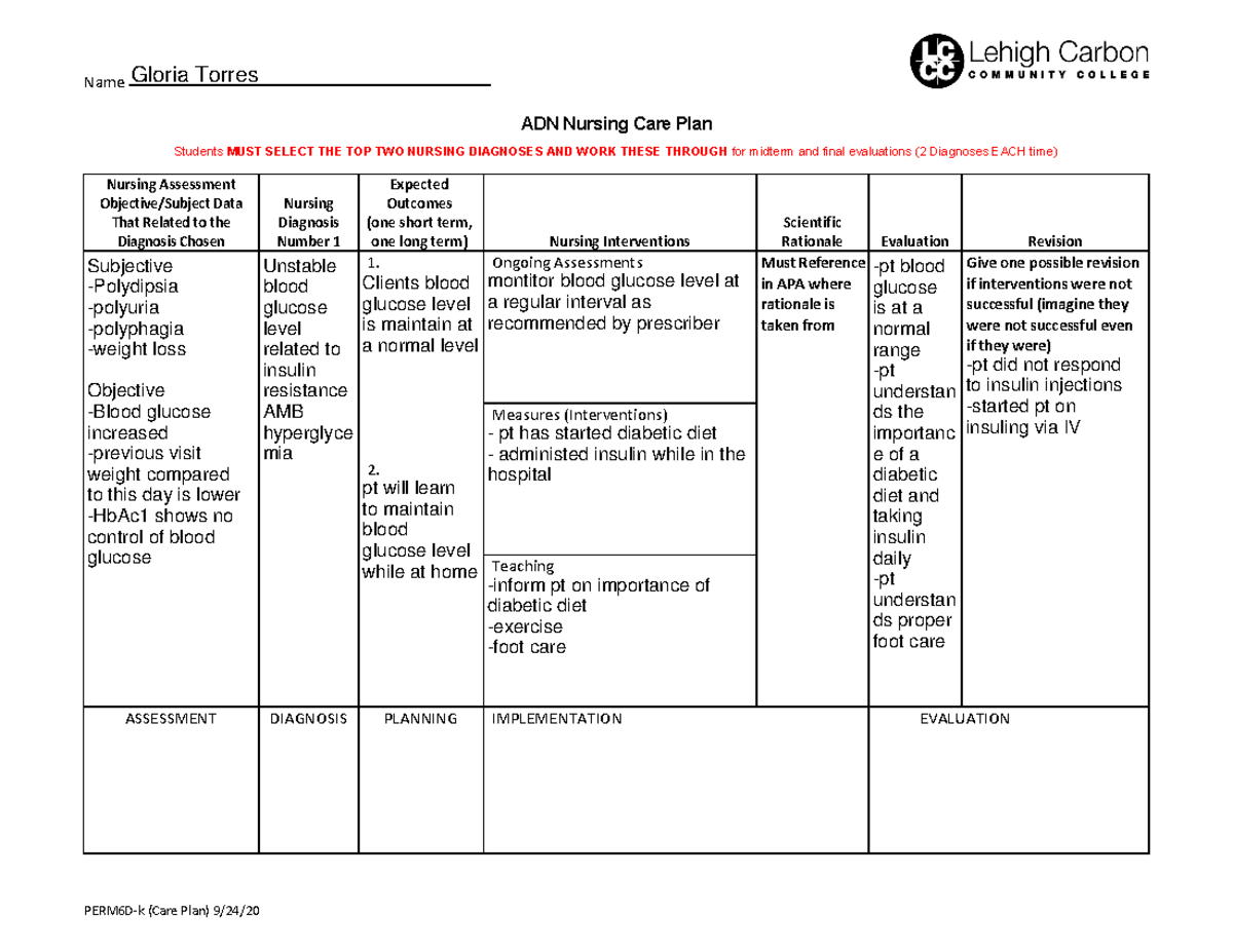 1 Nursing Care Plan - care plan - Name PERM6D-k (Care Plan) 9/24/ ADN ...