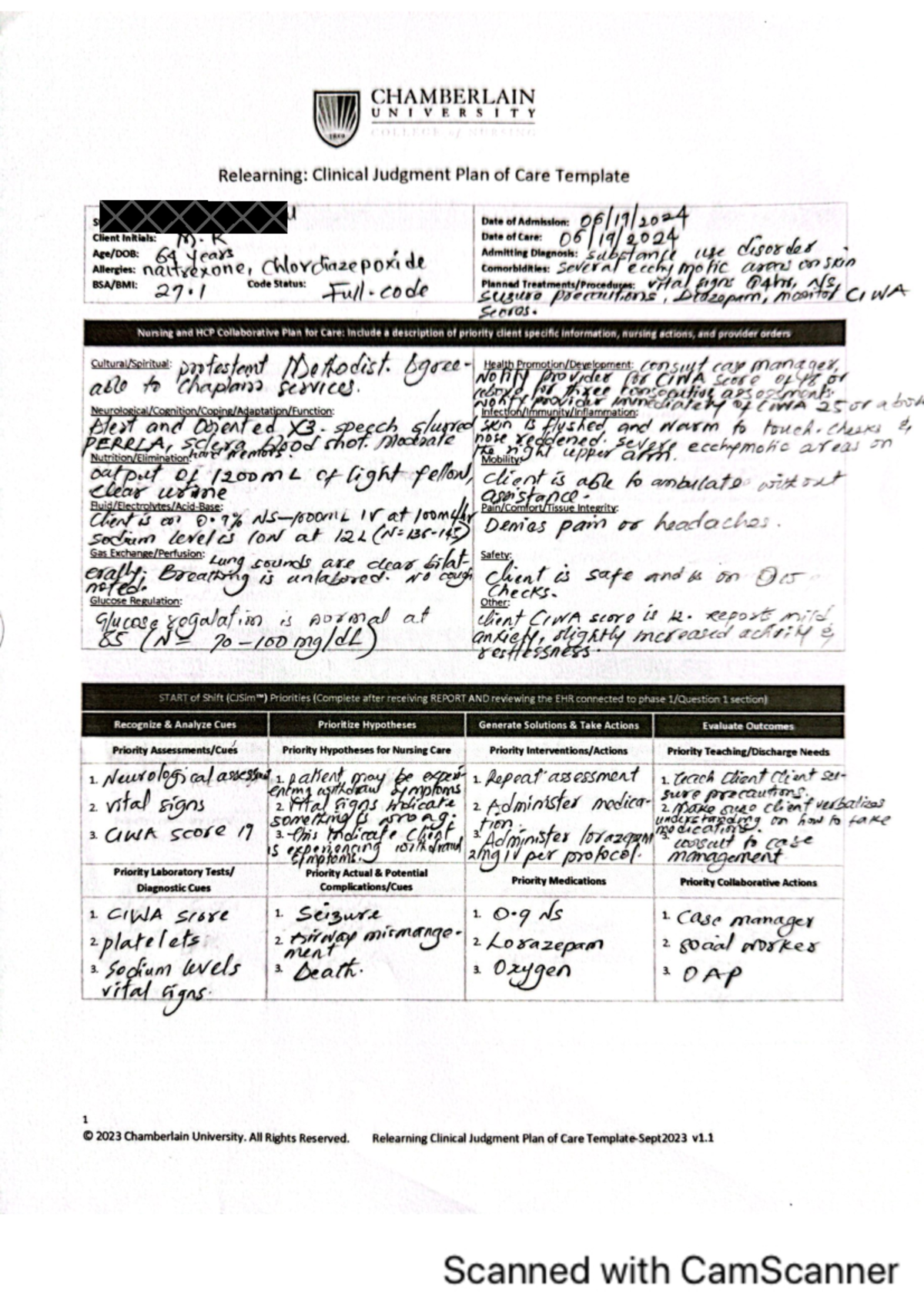Plan of care template for mental health nursing at chamberlain ...