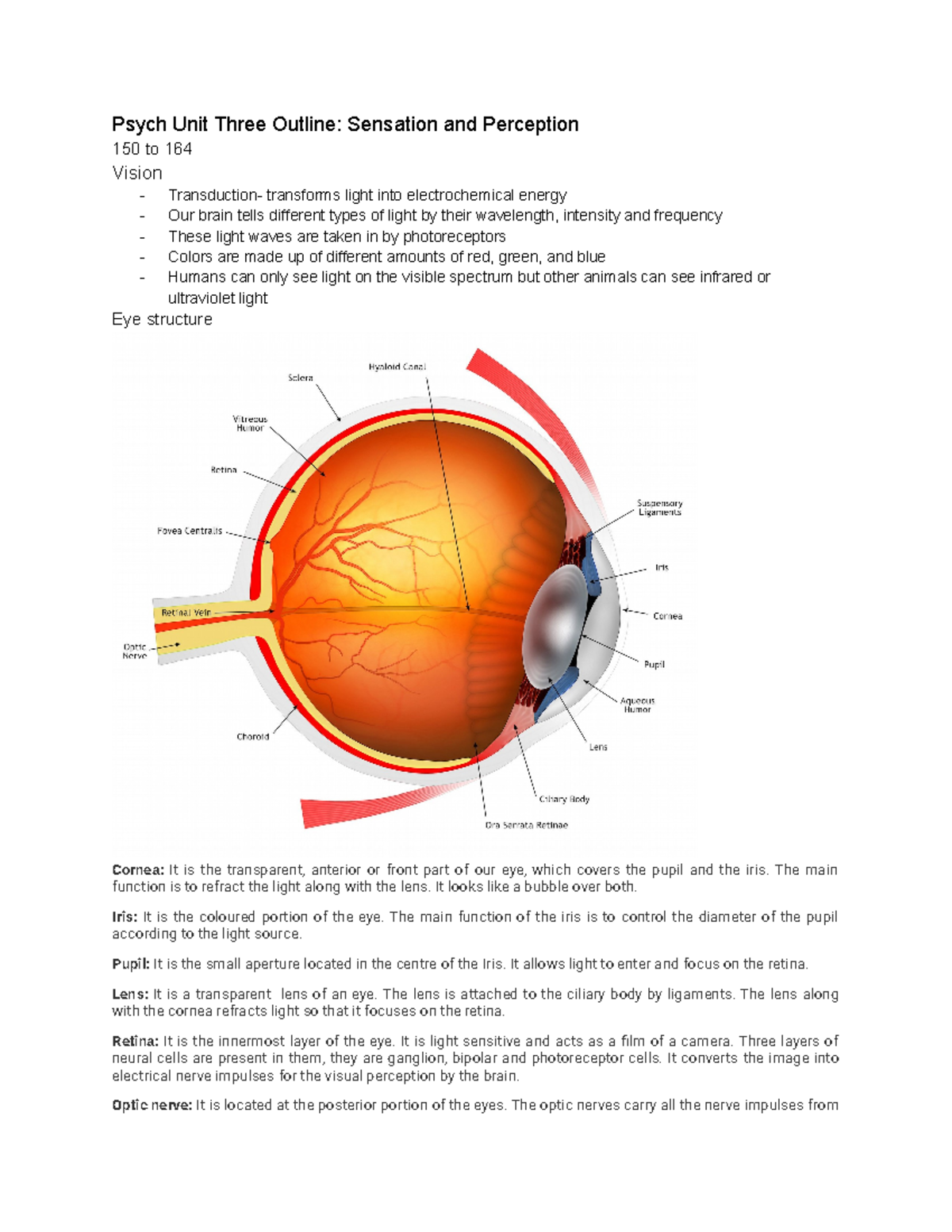Psych Unit three outline sensation and perception - Psych Unit Three ...