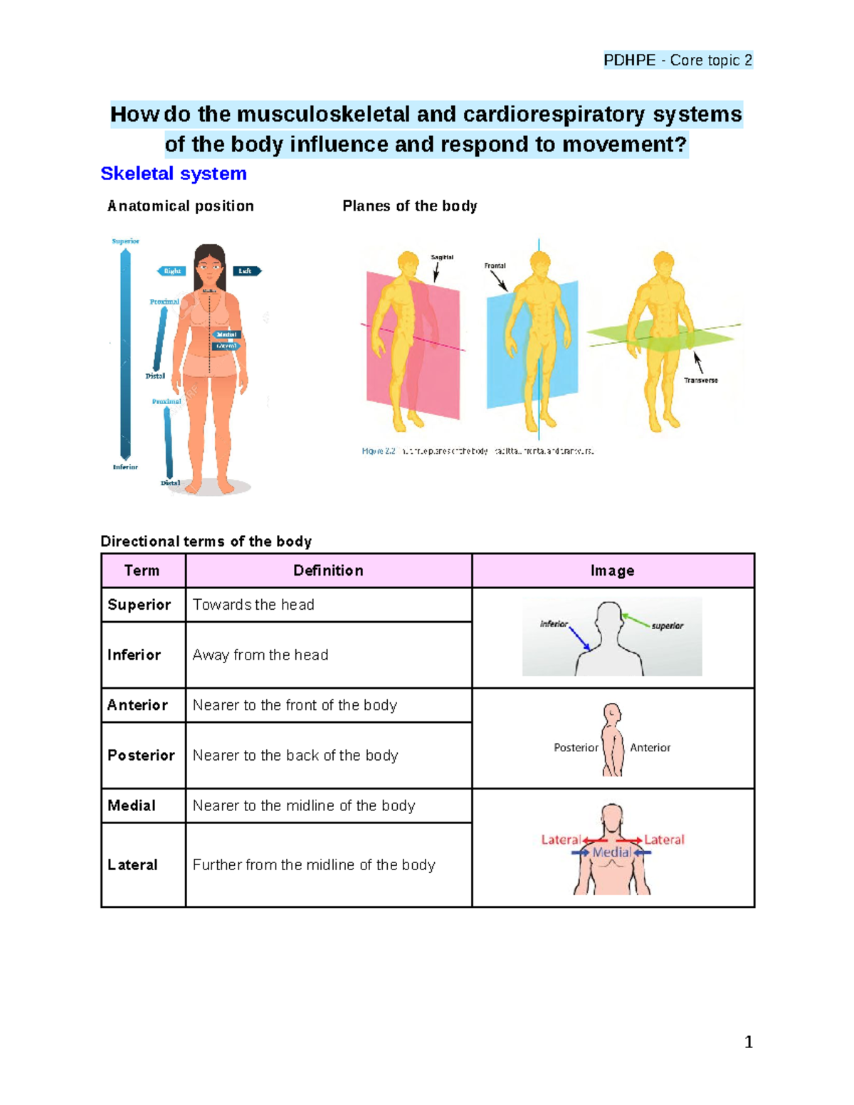 Core topic 2 - The Body in Motion - How do the musculoskeletal and ...