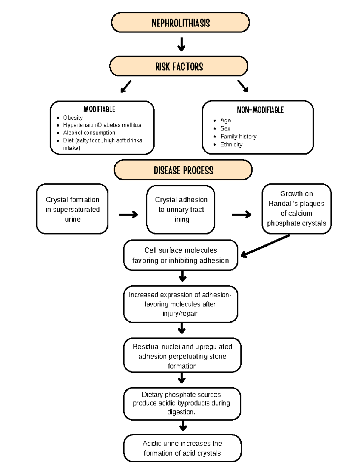 Pathophysiology - Nephrolithiasis - MODIFIABLE NON-MODIFIABLE Age Sex ...