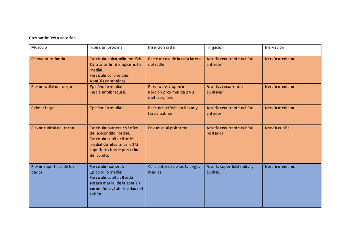 Musculos antebrazo - Tabla de información sobre Anatomía ...