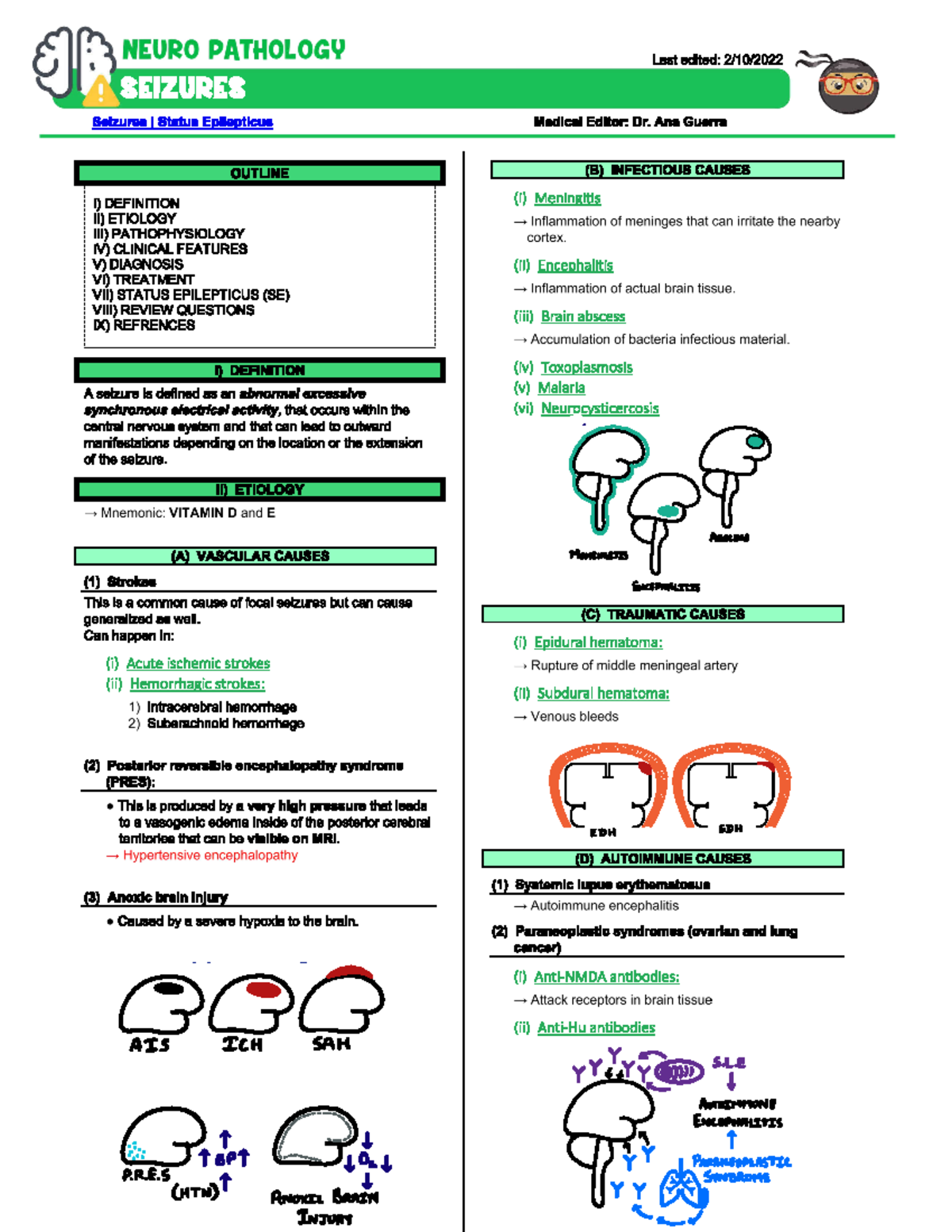Neuro Seizures patho - BIO 320 - Studocu