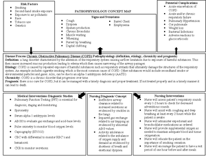 Hyperlipidemia Patho sheet - PATHOPHYSIOLOGY CONCEPT MAP Risk Factors ...