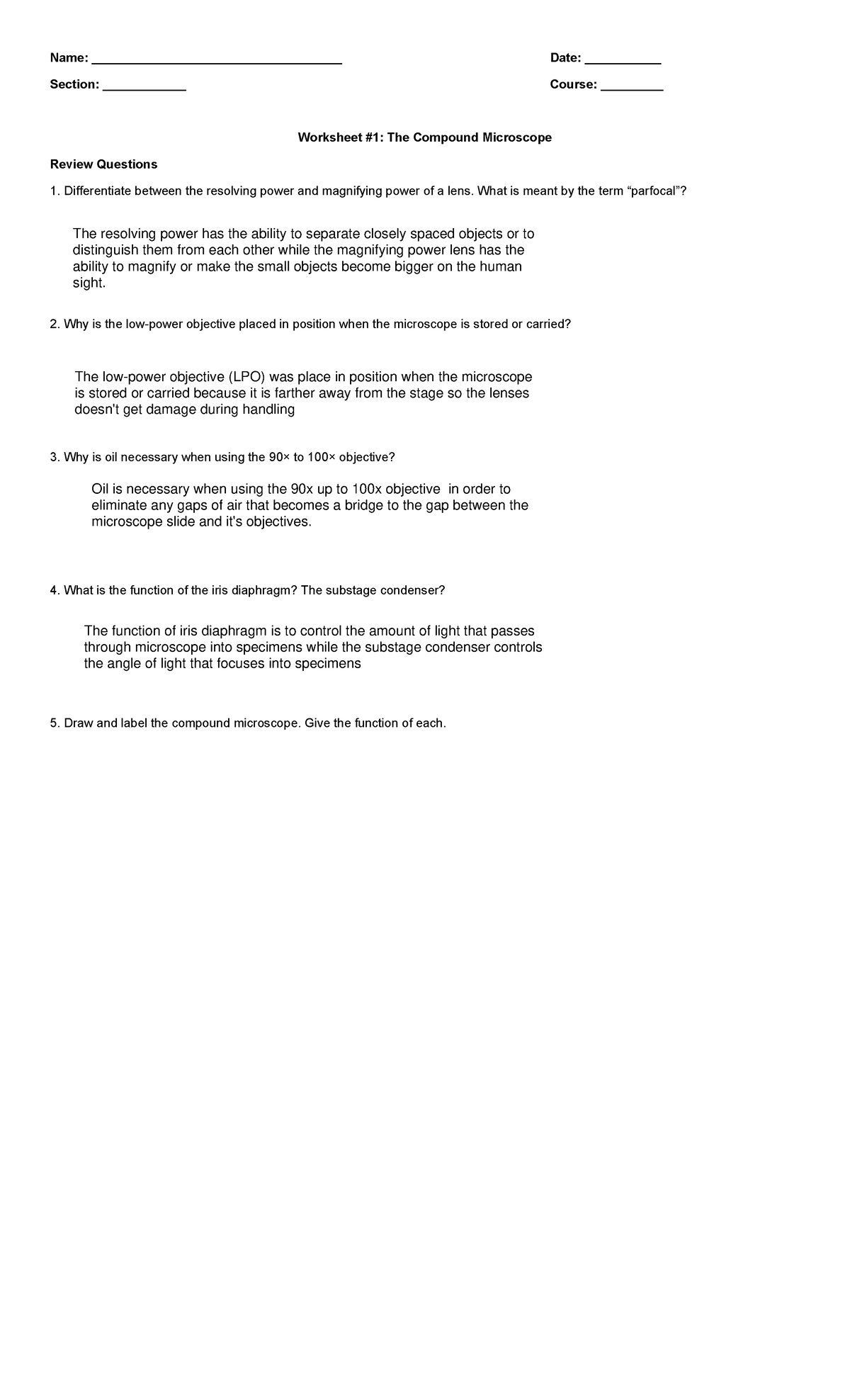 Worksheet 1 AND 2 Microscopy AND Smear PREP - Name ...