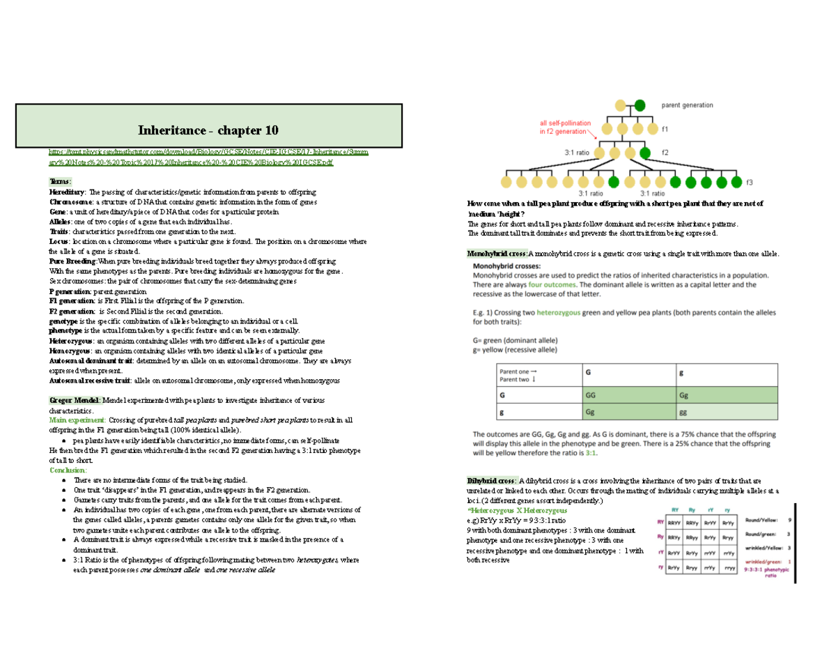 Inheritance - Google Docs - - Studocu
