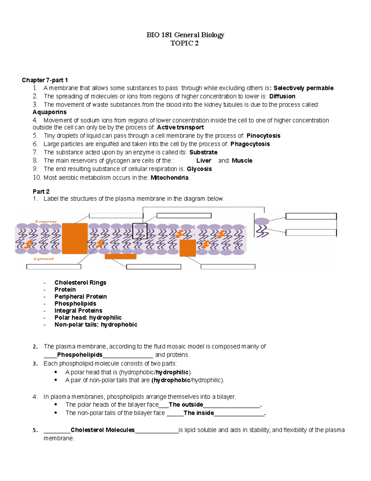 WEEK 4-HW- CH 7 worksheet - BIO 181 General Biology TOPIC 2 Chapter 7 ...