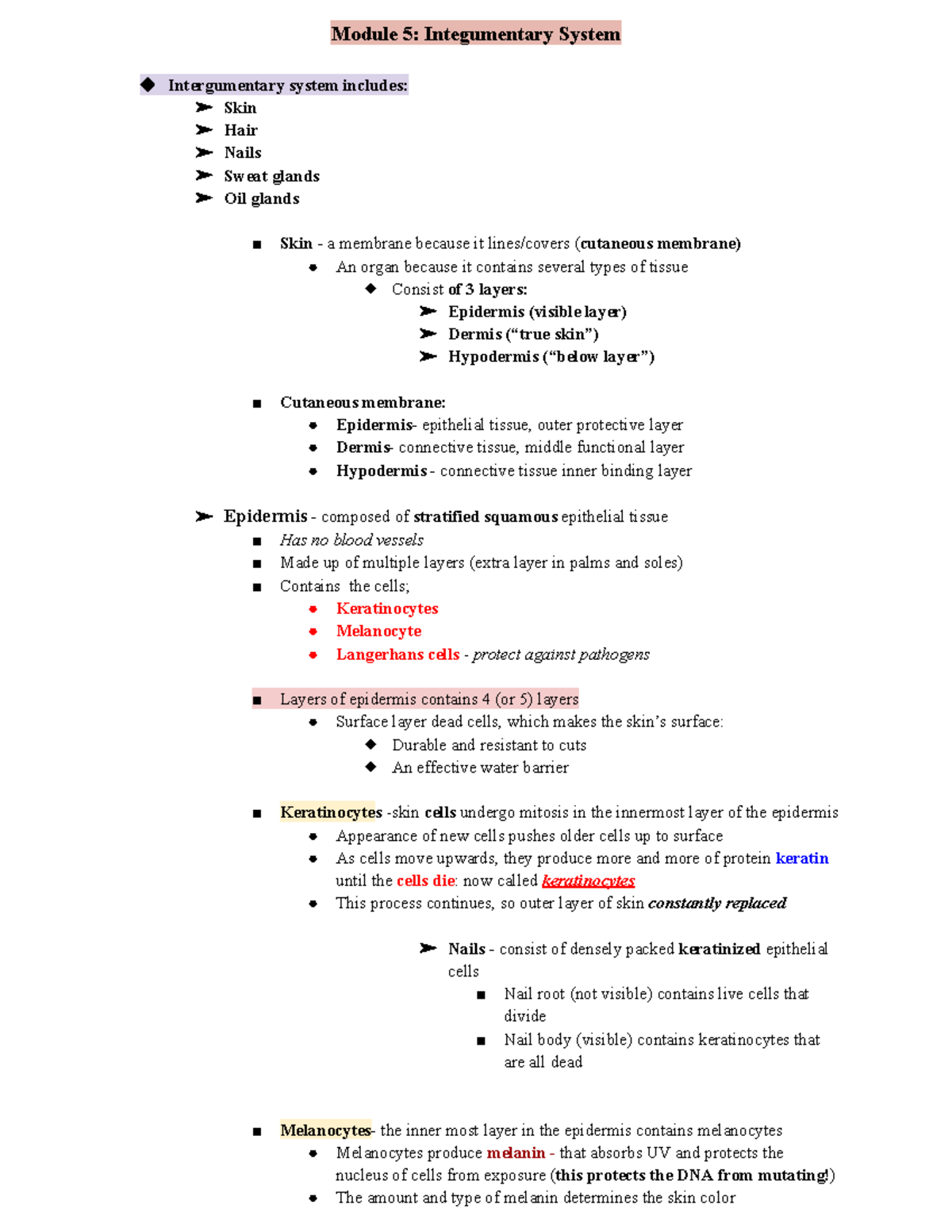 Anaphymod 5-8 - anatomy - Module 5: Integumentary System Intergumentary ...