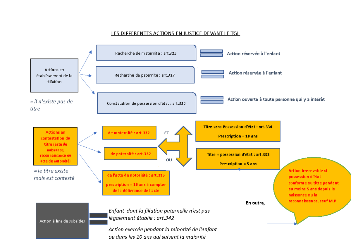 Schéma Actions en justice - LES DIFFERENTES ACTIONS EN JUSTICE DEVANT ...