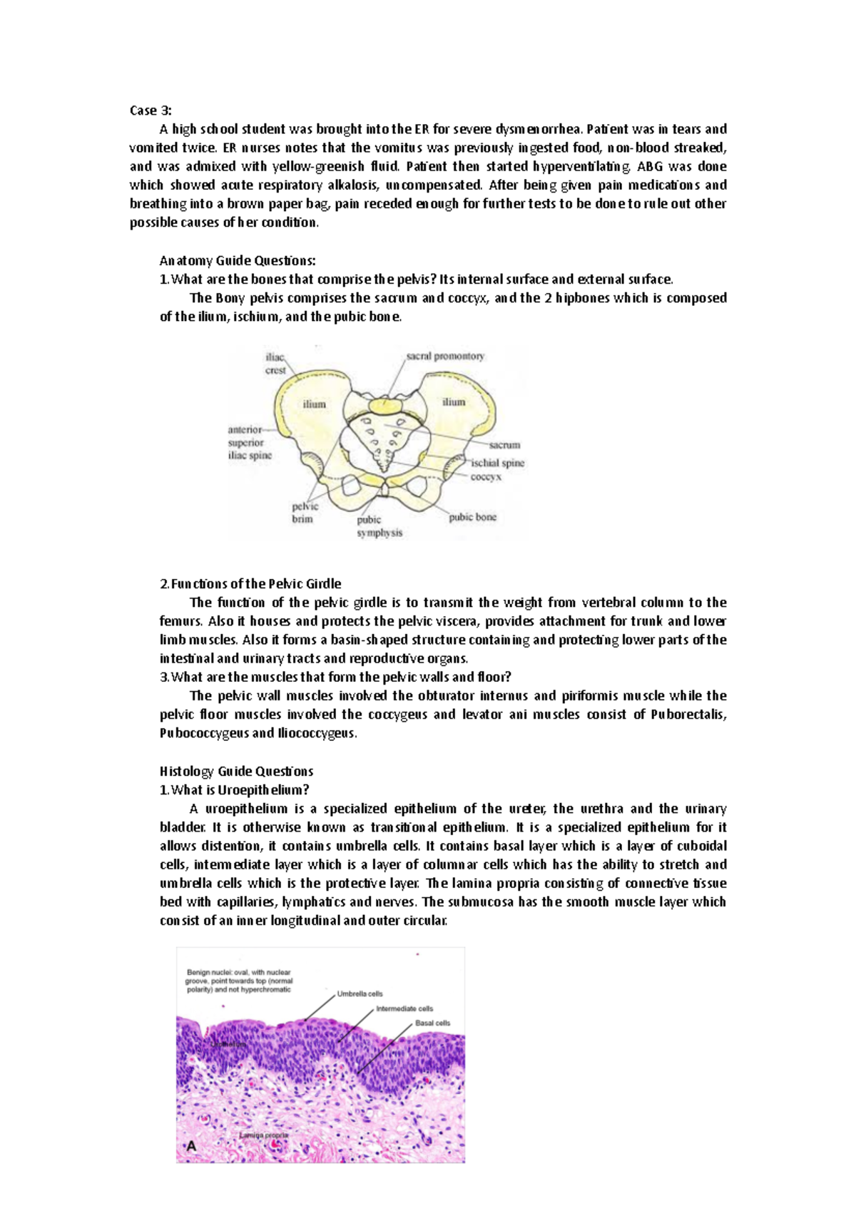 Urinary System- (Case Study with Guide Questions) - Case 3: A high ...