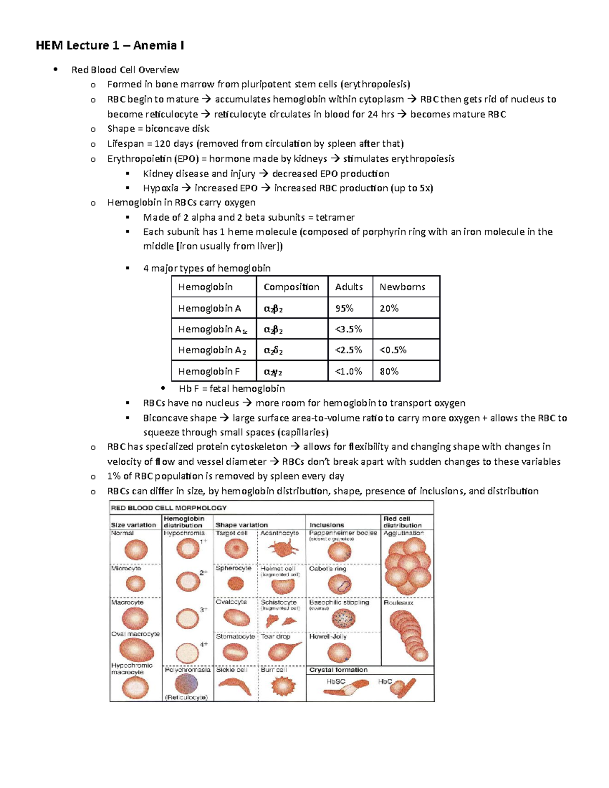 HEM 1,2 - Anemia I and II - HEM Lecture 1 – Anemia I Red Blood Cell ...