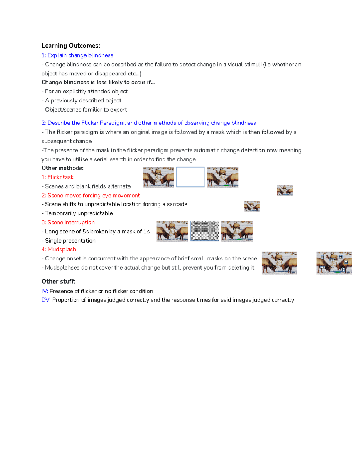 Change Blindness Flicker