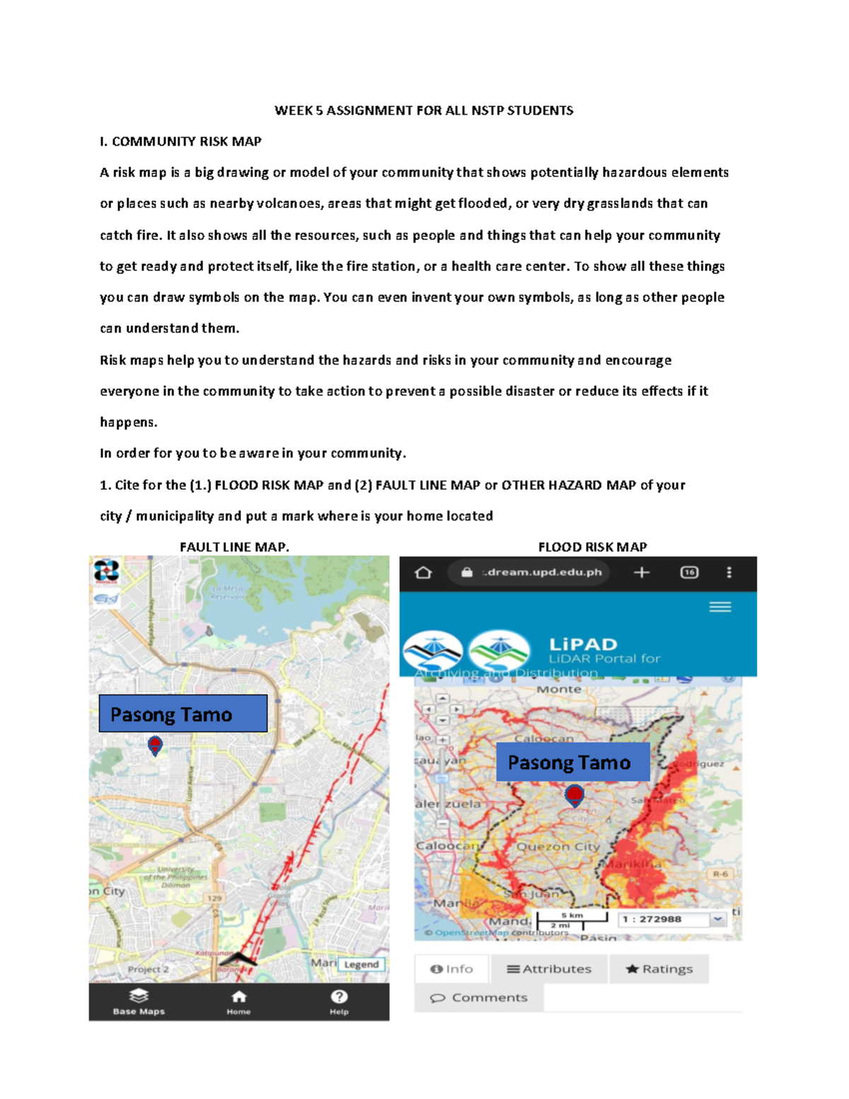 Rew - Information - WEEK 5 ASSIGNMENT FOR ALL NSTP STUDENTS I ...