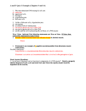 Ch16 Blood Vessels - Student Notes - A&P Lab Exercise 32: Blood Vessels ...