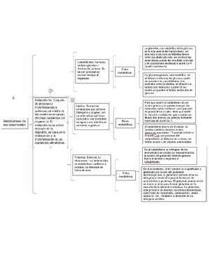 NOM 015 diabetes - NORMA Oficial Mexicana NOM-015-SSA2-2010, Para la ...