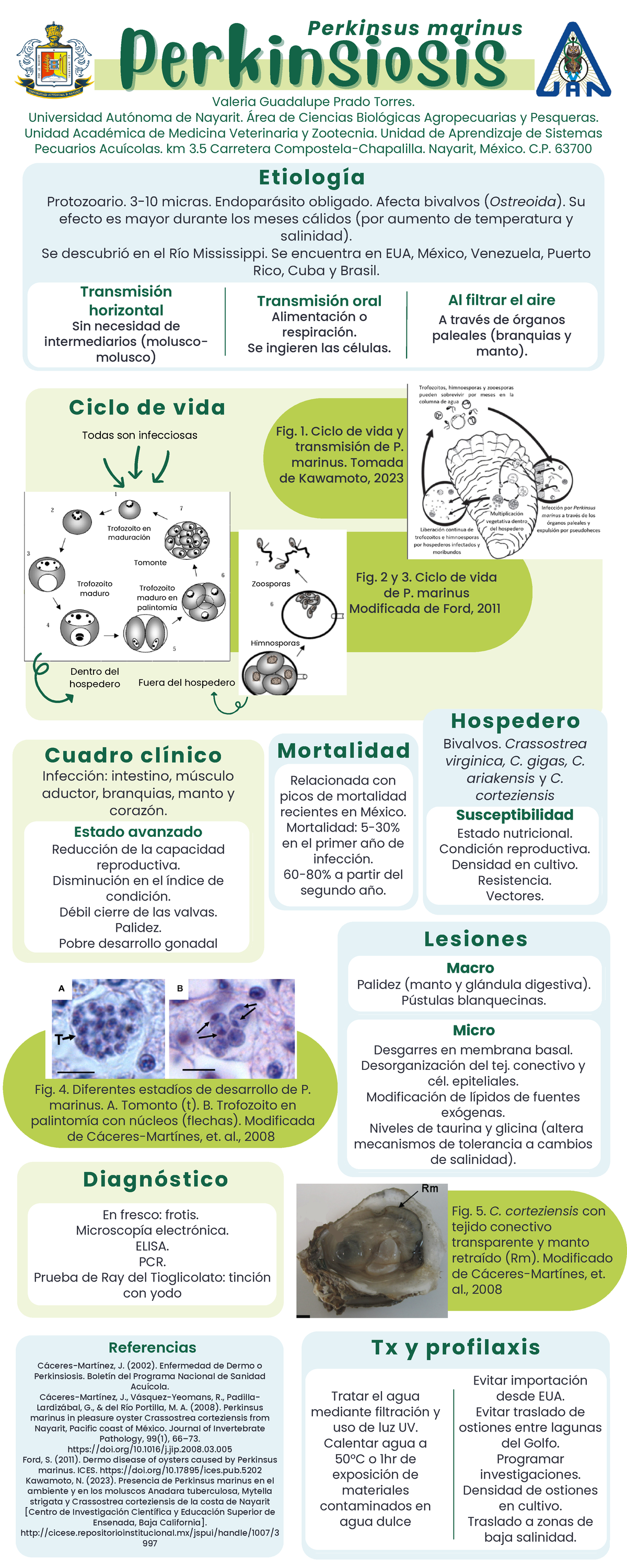 Perkinsus marinus - Ensayos sobre artículos científicos y la carta ...