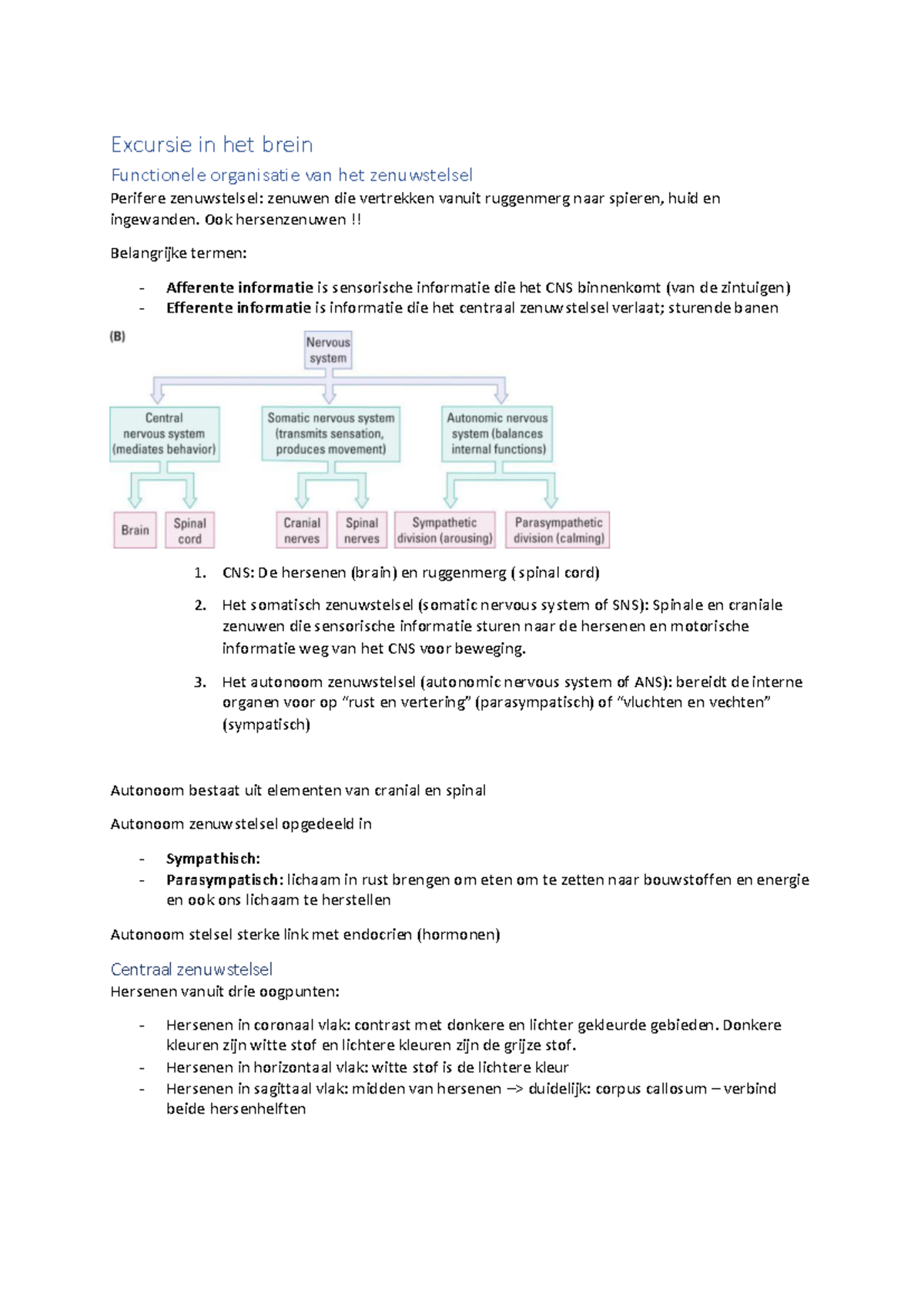 Les 4 - les 4 - Excursie in het brein Functionele organisatie van het ...