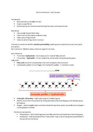 Cytoskeleton - The cytosol Gel-like, semifluid material that surrounds ...