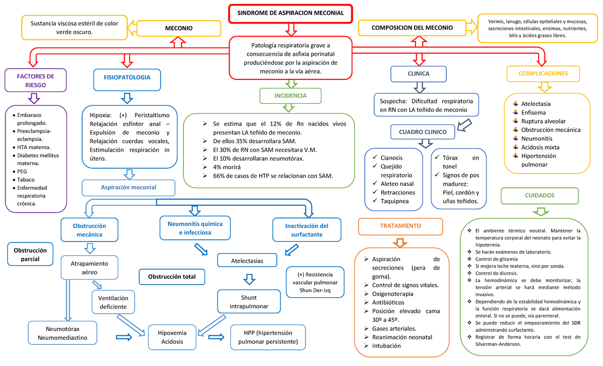 MAPA DE SAM - Mapa conceptual de sindrome de asfixia meconial - c ...