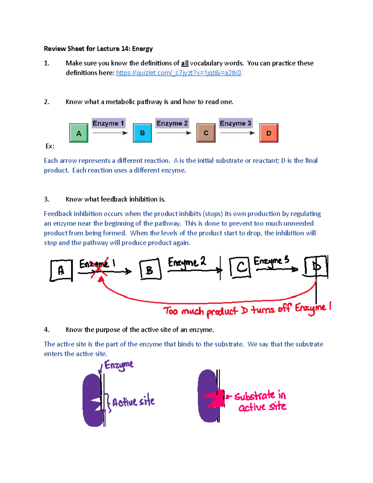 Review Sheet for Lecture 14 Answers - Review Sheet for Lecture 14 ...