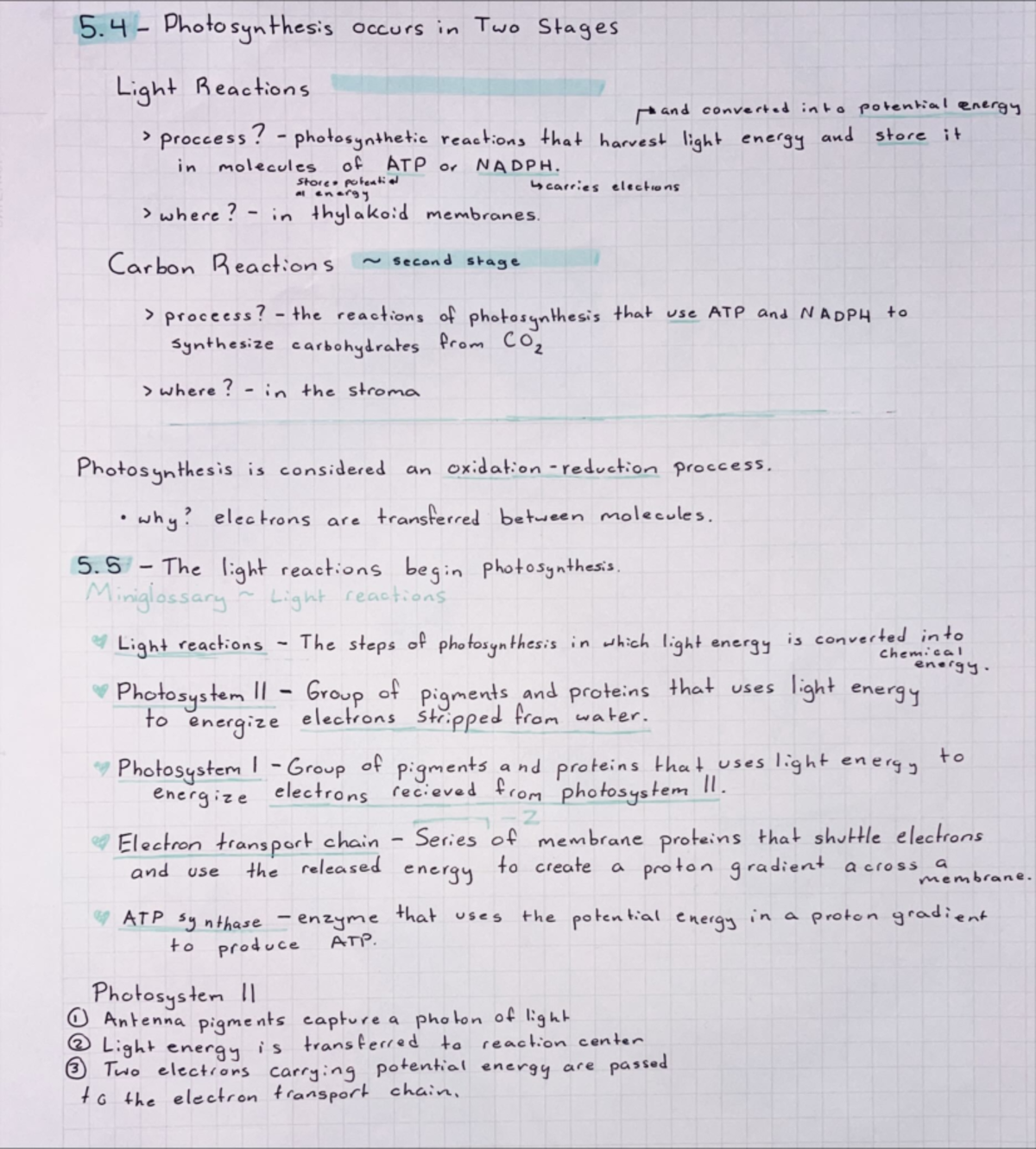 Chapter 5- Photosynthesis - 5 Photosynthesis occurs in Two Stages Light ...