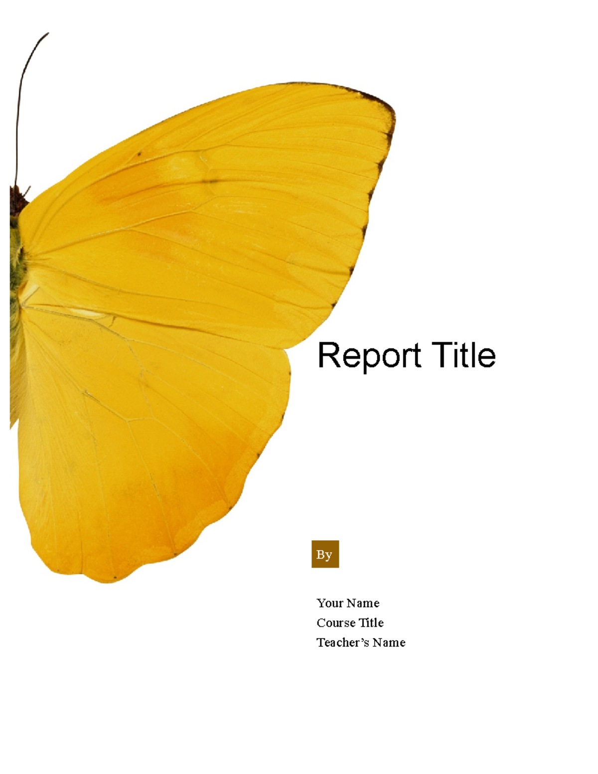 Butterfly Student Report Template Word - Report Title By Your Name ...