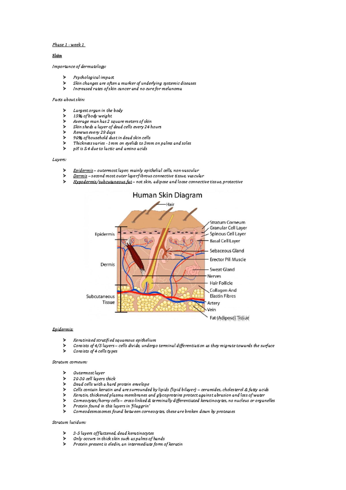 Phase 1 - Week 1 - Phase 1 - week 1 Skin Importance of dermatology ...