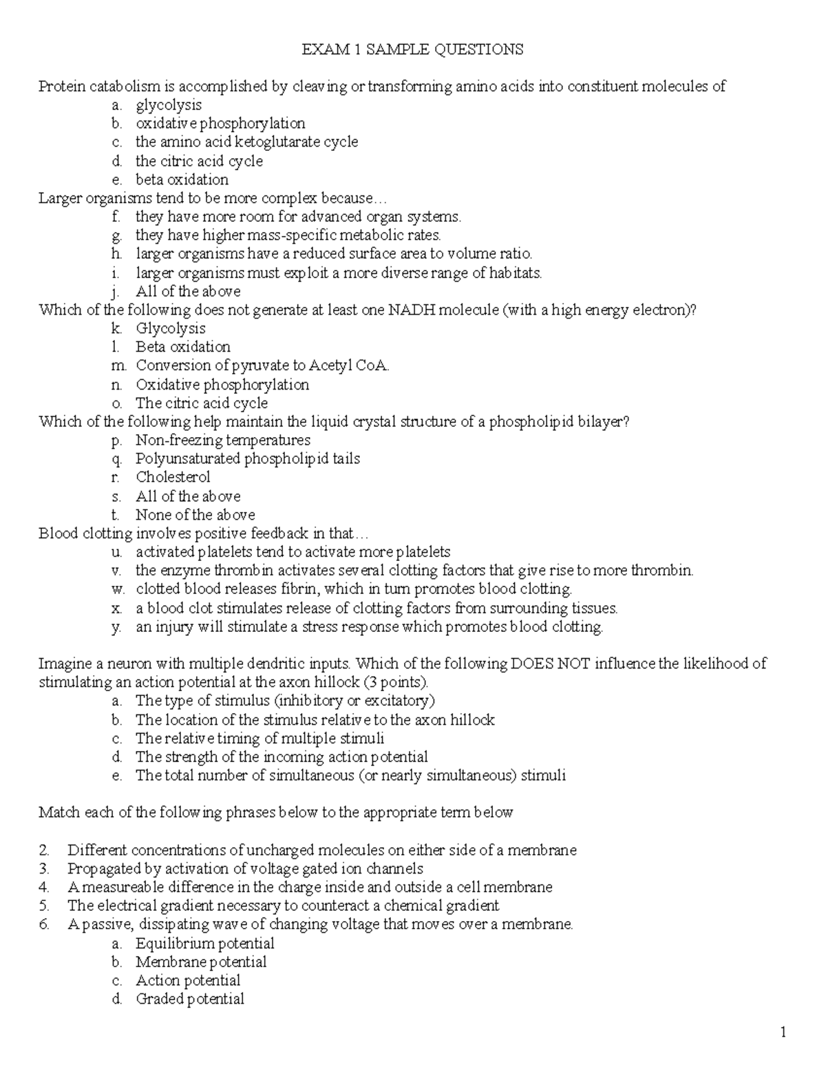 3103 Exam 1 study guide questions - EXAM 1 SAMPLE QUESTIONS Protein ...