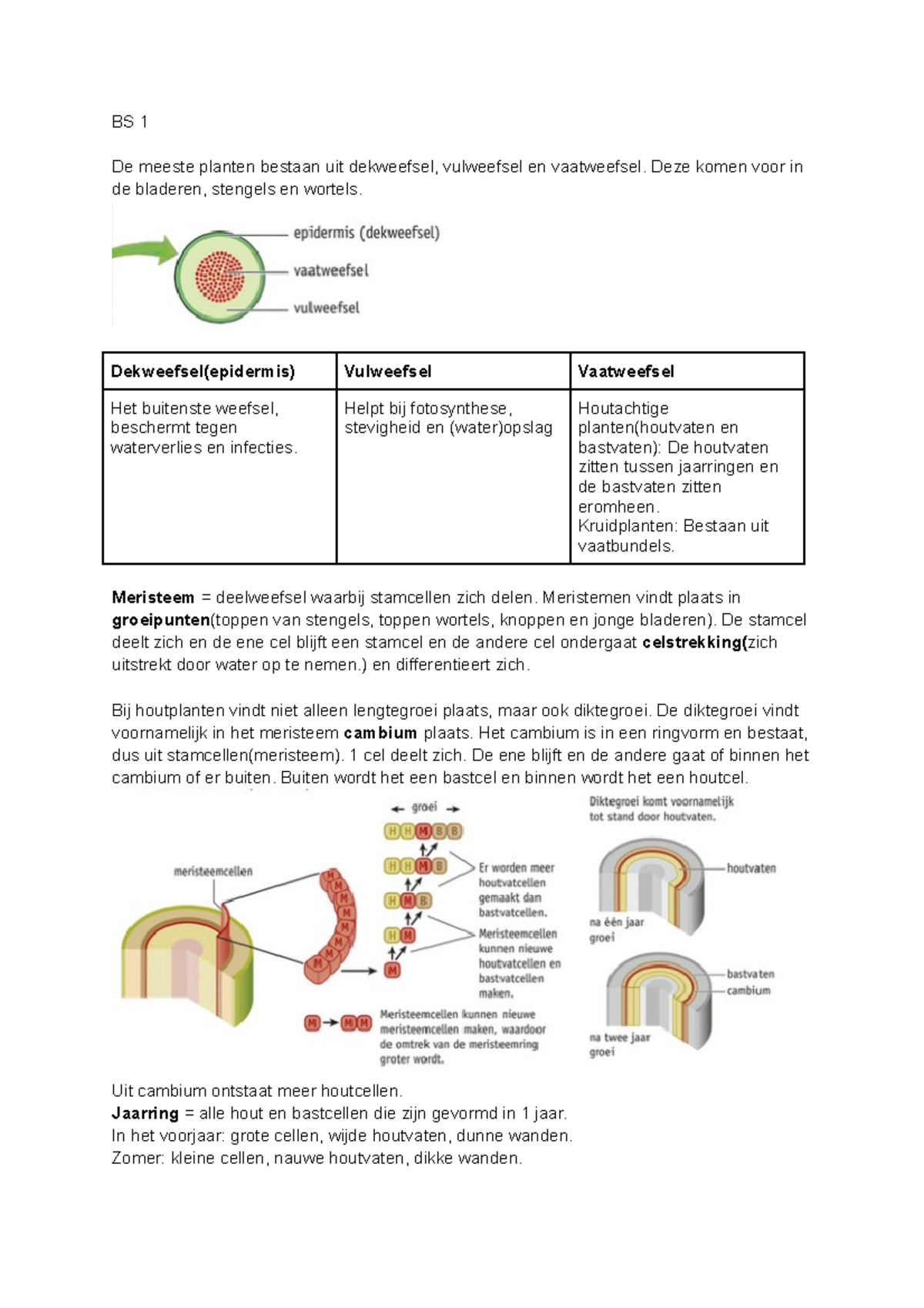 Planten - feewew - BS 1 De meeste planten bestaan uit dekweefsel ...