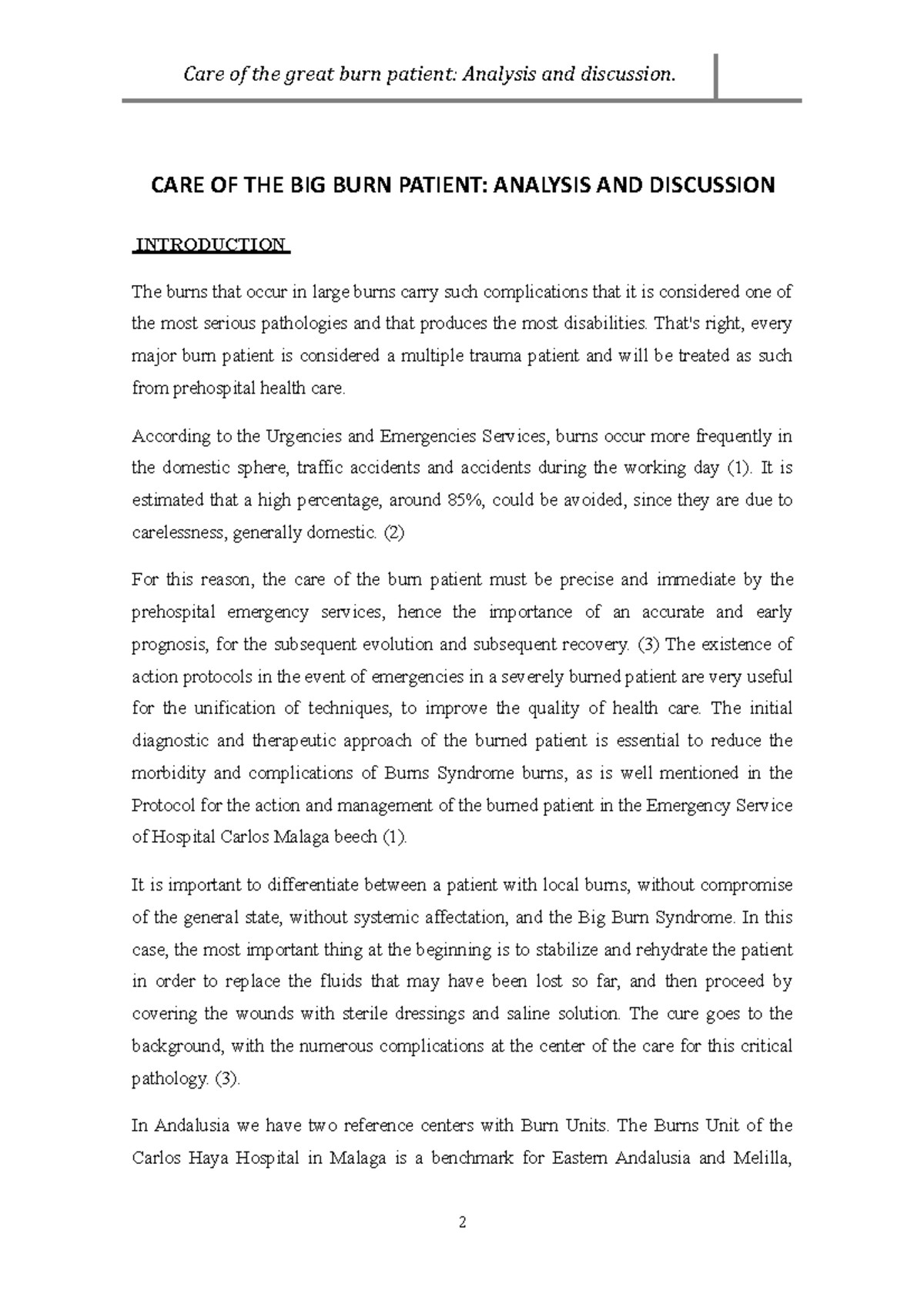 CARE OF THE BIG BURN Patient Analysis AND Discussion - Care of the ...