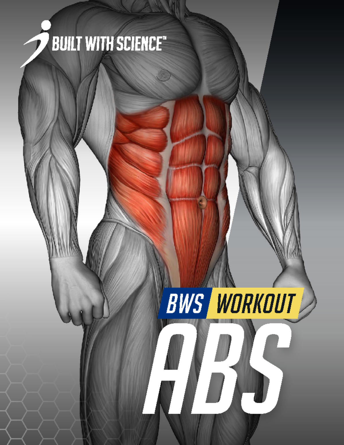 Built With Science Abs Workout PDF - abs bws workout Table of contents ...