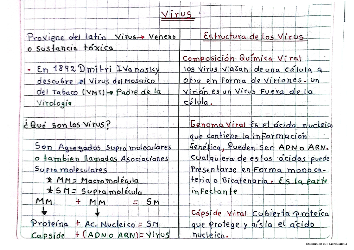 Virus - un del Tabaco (VMT) Padre de la virion es un Virus Fuera dela ...