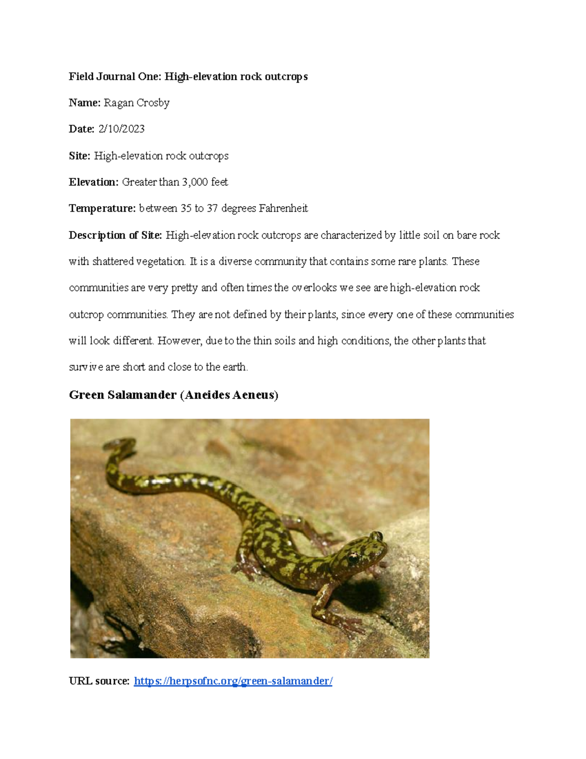 Field journal 1 - Field Journal One: High-elevation rock outcrops Name ...